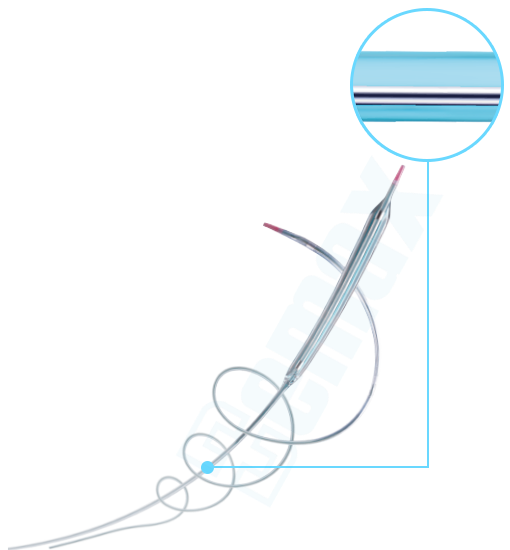 一次性使用无菌PTCA球囊扩张导管（Gusta®） - Gusta®系列球囊扩张导管 - Demax北京迪玛克医药科技有限公司-中文-站点标题