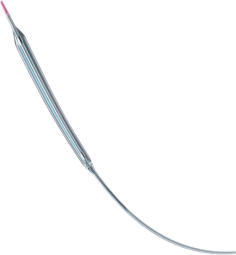 Gusta® PTCA Balloon Dilatation Catheter - Balloon Catheter - Demax北京迪玛克 ...